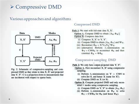 Compressive Sampling And Dynamic Mode Decomposition Steven L Brunton1 Joshua L Proctor2 J