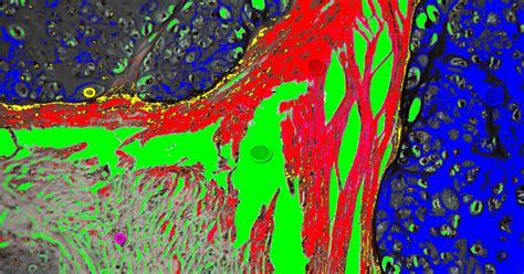 Revolutionising Spectral Imaging Pro Lite Technology