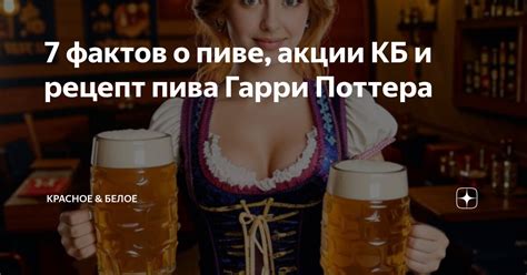 7 фактов о пиве акции КБ и рецепт пива Гарри Поттера Красное And Белое Дзен