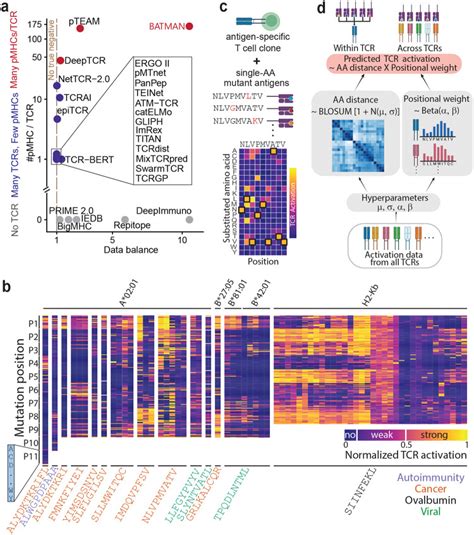 Batman Improved T Cell Receptor Cross Reactivity Prediction Benchmarked On A Comprehensive
