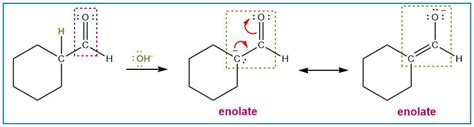 Write The Structures Of Every Enol And Enolate Ion That Can Quizlet