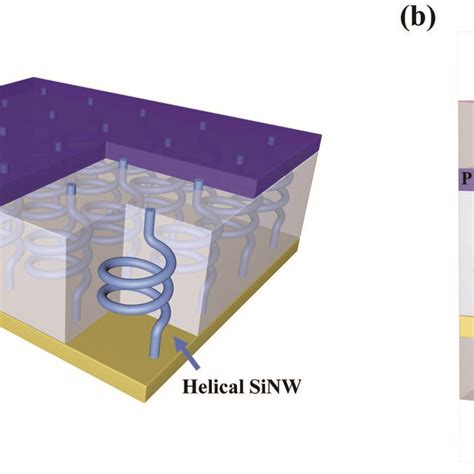 the models of helical sinw array solar cells a the structure of