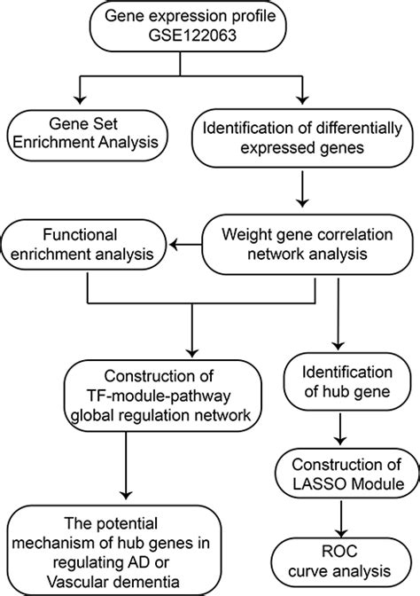 gene set index based on different modules may help different cia