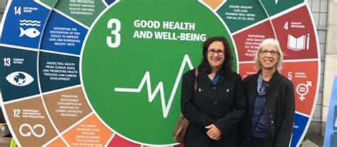 Ifsw Un Representatives Attend United Nations Sustainable Development