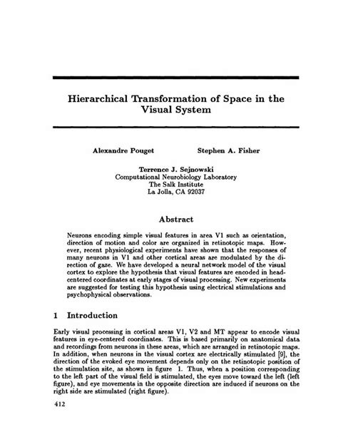 Pdf Hierarchical Transformation Of Space In The Visual System · The Analysis Of Our