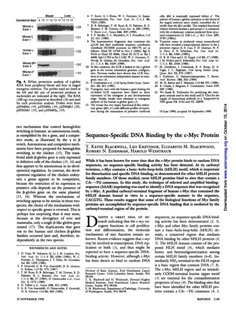 1990 Sequence Specific Dna Binding By The C Myc Protein Pdf