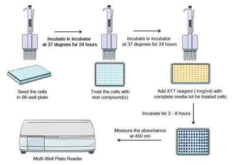Discover Xtt Assay Virtual Lab Simulation From Praxilabs