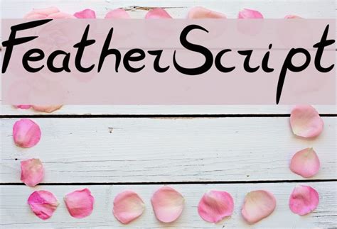 Featherscript Font