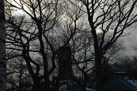 D800 Nikon Landscape Mike Flickr