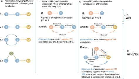 Potential Association Chains” Of Sdb Traits Transcript Expression