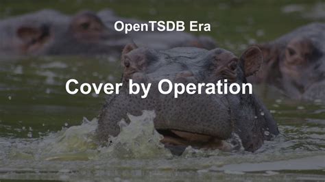 Deep Dive Into LINE S Time Series Database Flash Speaker Deck