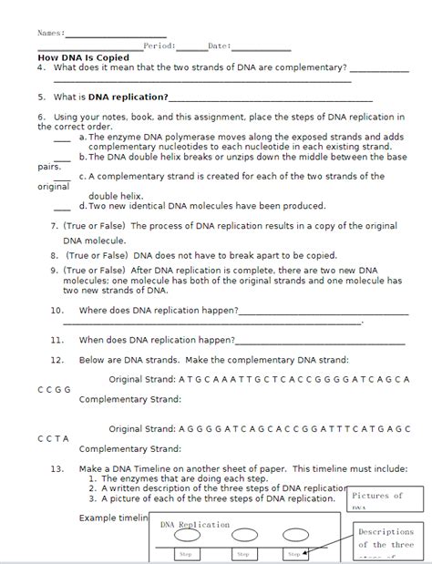 Solved Dna Replication Practice Directions Below Are The 3