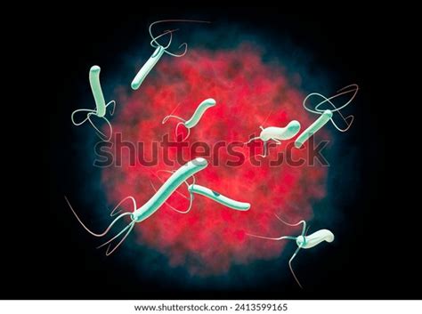 Helicobacter Pylori Gramnegative Flagellated Helical Bacterium Stock