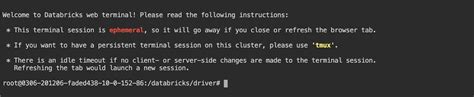 Web Terminal Azure Databricks Microsoft Learn