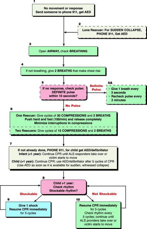 Part 11 Pediatric Basic Life Support Circulation