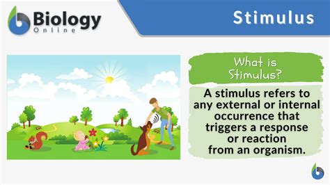 Stimulus Definition And Examples Biology Online Dictionary