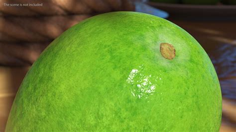 Exotic Fruits Collection D Model Ds Obj Max C D Ma Free D