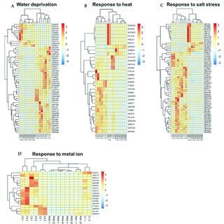 Hierarchical Clustering Of Differentially Abundant Proteins Related To