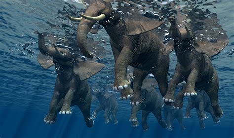 What To Look For In A Postgresql Execution Plan Key Insights For Query