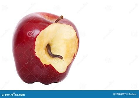 Worm In Apple Stock Image Image Of Parasite Nature