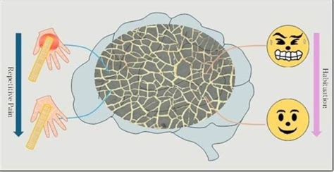 Neuromorphic Devices