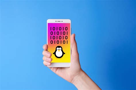 Run OSINT Tools Like Osintgram On Linux When You Dont Have A Linux Machine RecruitingDaily