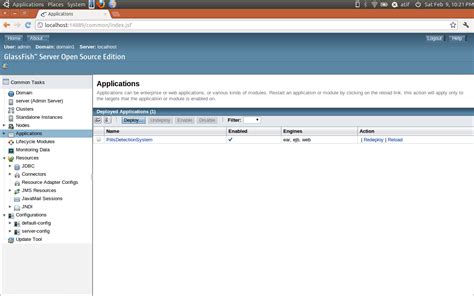 The Ear File Was Successfully Deployed In The Last Step And That Can Be