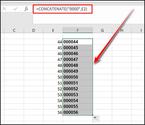 Add Leading Zeros In Excel [with Easy Formula And Vba 2024]