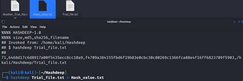 Hashdeep A Digital Forensics Tool In Kali Linux Geeksforgeeks