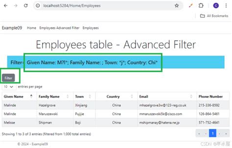 使用的aspnet8——第9部分——高级过滤器datatable设置过滤器 Csdn博客