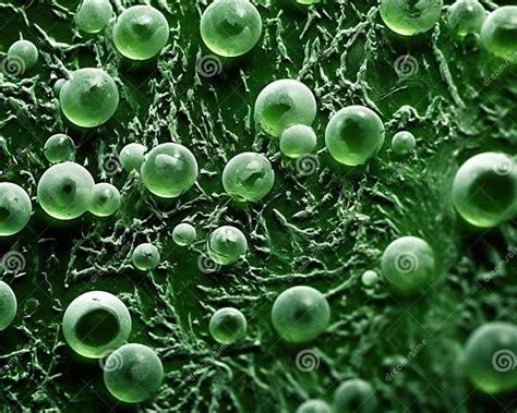 An Electron Microscope View Of The Spirulina Algae Stock Illustration Illustration Of View