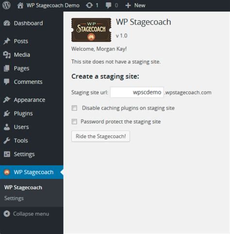 updating wordpress plugins and themes safely