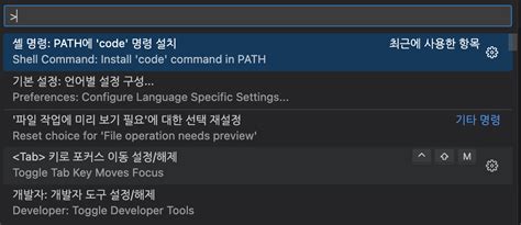 Mac Os 터미널에서 Vscode 실행하기 Code 명령어 안될 때