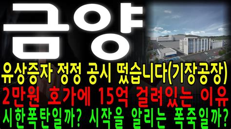 🟡 금양 주가 전망 긴급 유상증자 공시떴습니다 대응해서 상승구간에 손실회복 하세요 30장대양봉 곧 터집니다 절대 흔들리지말고 반드시 이 가격까지 버티고 가셔야