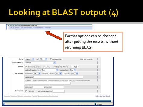 Ppt Having A Blast Powerpoint Presentation Free Download Id4559914