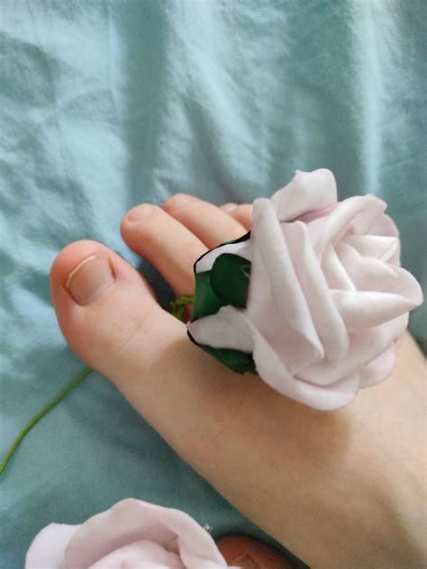 Here Is A Rose For U R Girlfriendsfeet