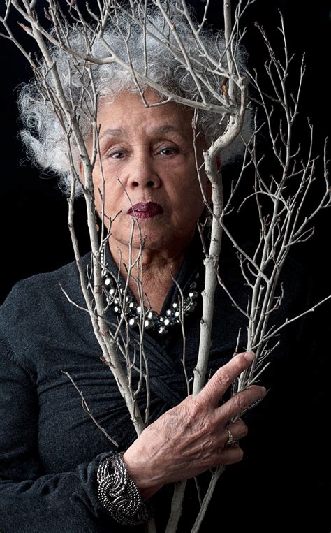 Betye Saar Moma