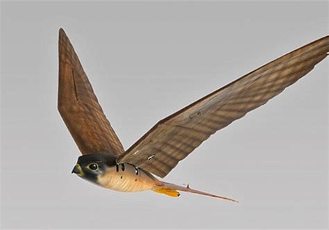 Шувуу юу онгоц уу