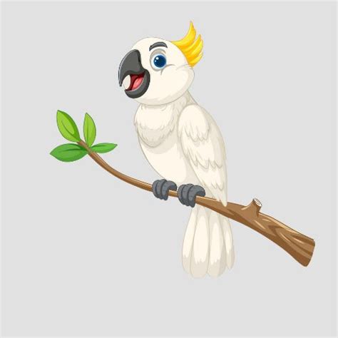 100daysofcode 100daysofcode ai machinelearning languagetranslation… itunu deborah i