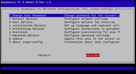 Raspberry Pi Setup