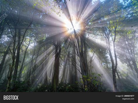 Beams Sunlight Pass Image And Photo Free Trial Bigstock