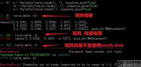 使用Pytorch解决普通优化问题 文艺数学君