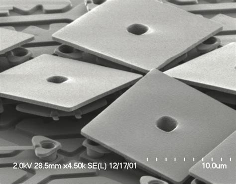 Redshift Evolution Of The Merger Rate Download Scientific Diagram