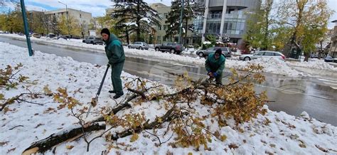 Успокоява се зимната обстановка в община Търговище все още има села без ток Утро
