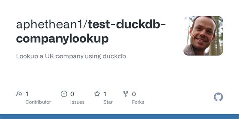 github aphethean1 test duckdb companylookup lookup a uk company