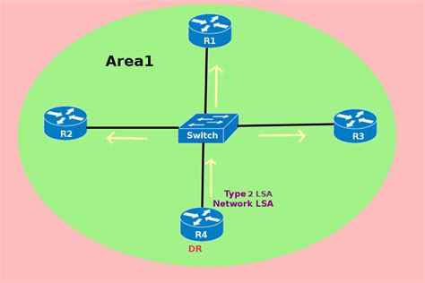 Databytestech Types Of Link State Advertisements Lsa
