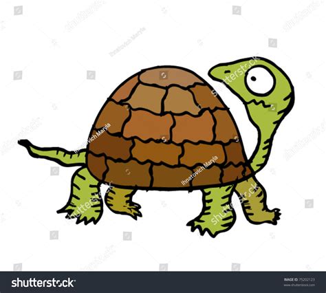 Vector Illustration Terrapin Stock Vector Royalty Free 75202123