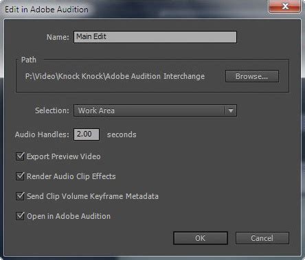 Adobe Audition CS