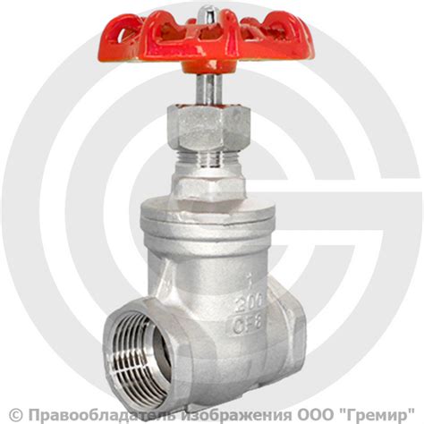 Задвижка нержавеющая муфтовая Ду-50 (2") Ру-64 ВР (ВН) NK-ZKm50/4 ...