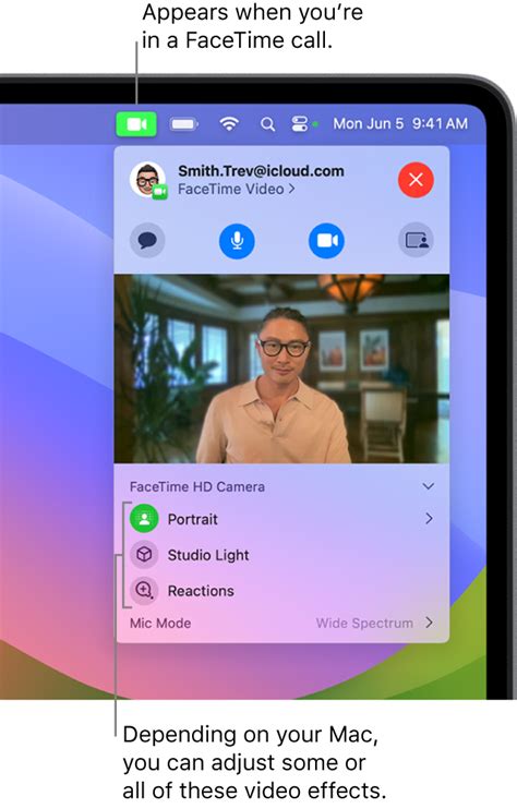 Disable Facetime Video Reactions In IOS And MacOS